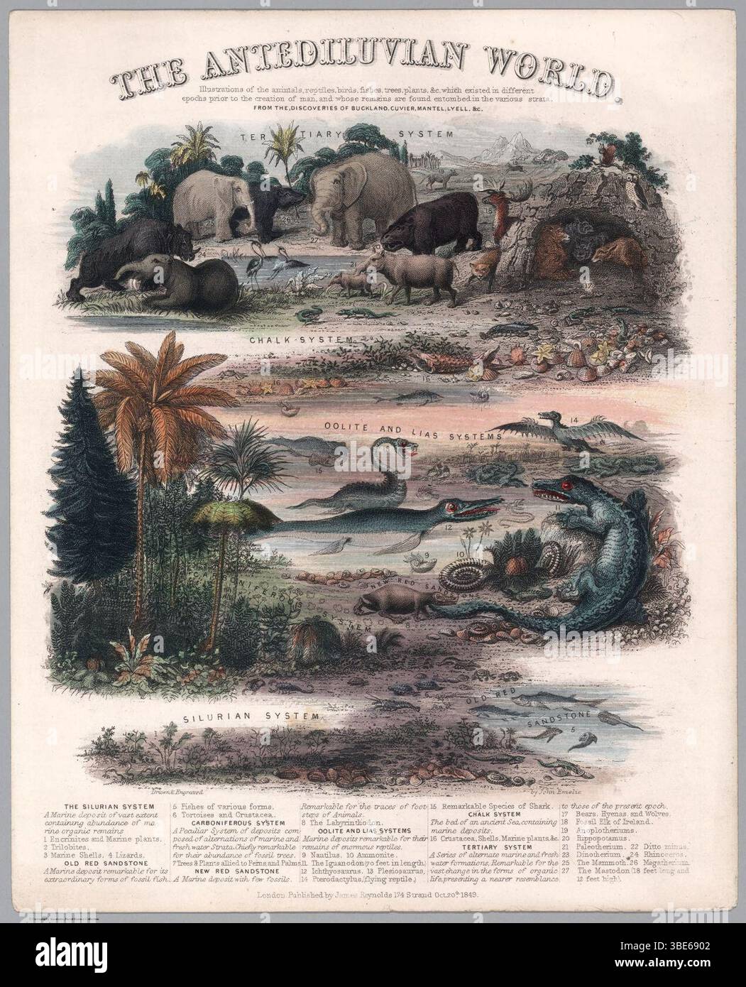 John Emslie- The antediluvian world Stock Photo - Alamy