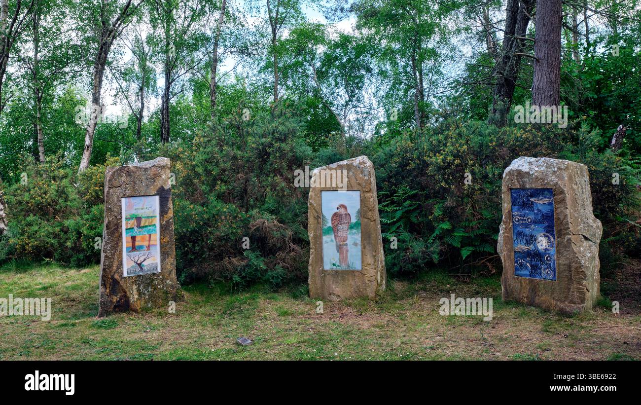 Standing Stones Quarrelwood, Elgin Stock Photo - Alamy