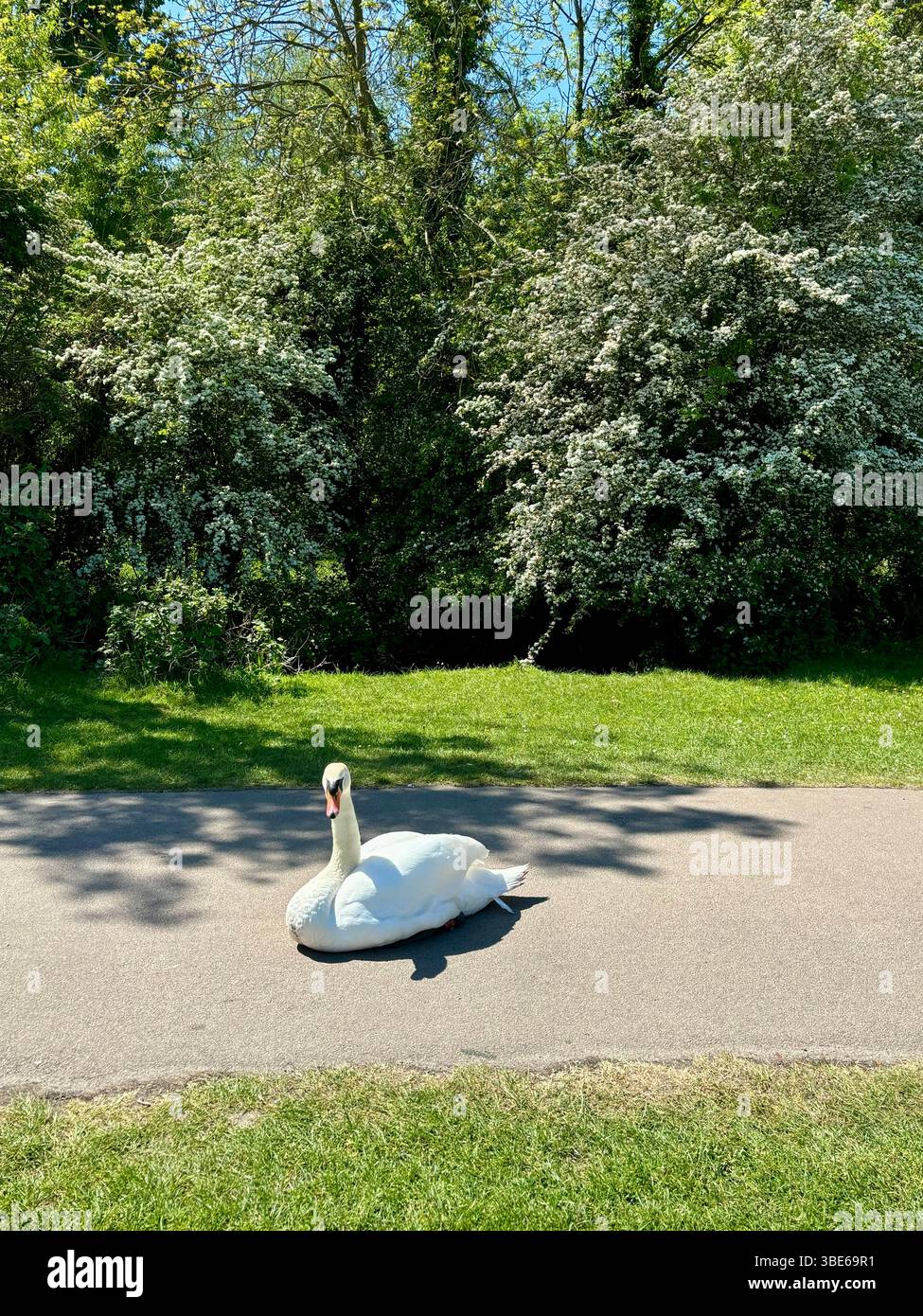 Blocking pathway hi-res stock photography and images - Alamy