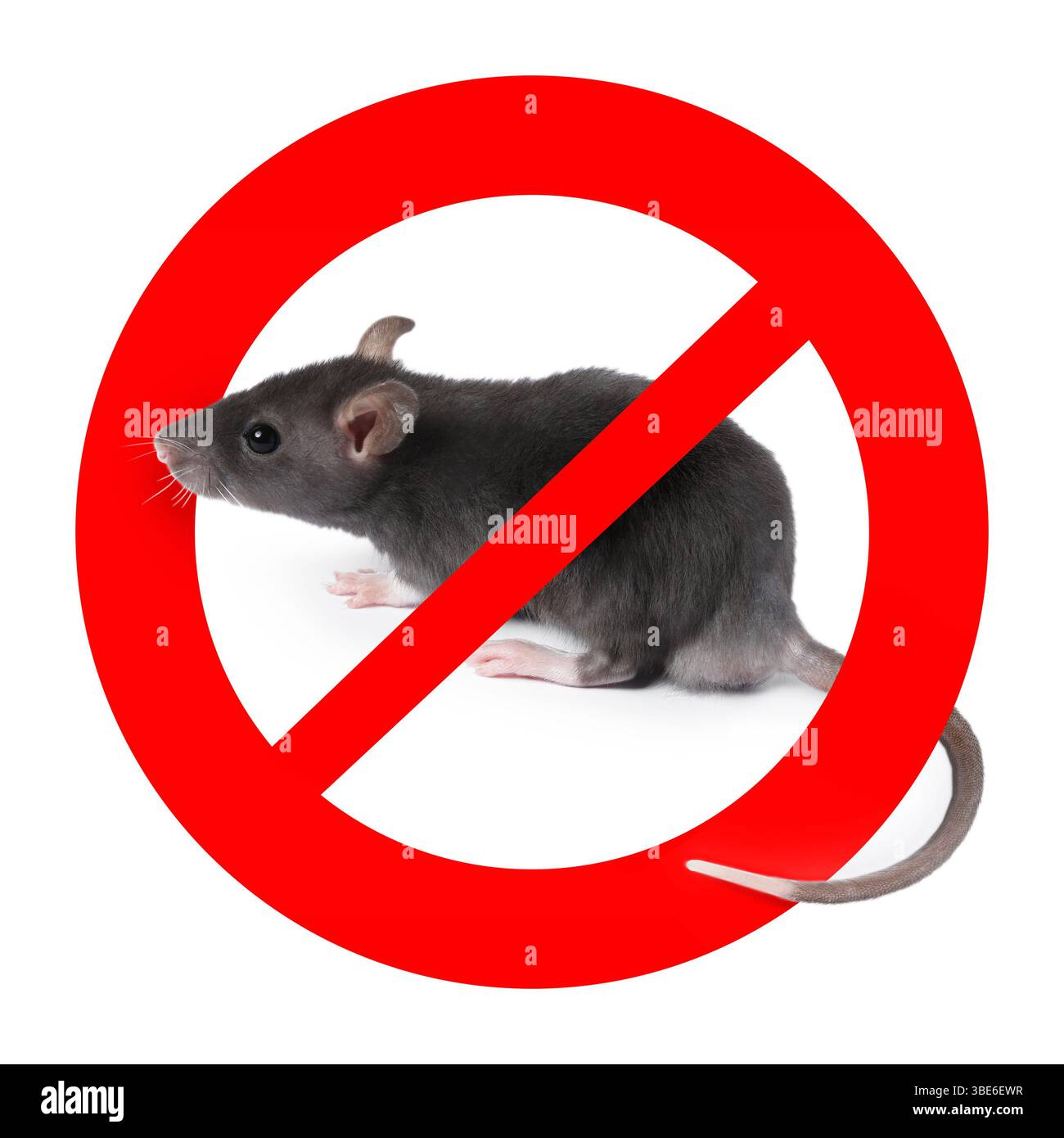 Rat poison warning sign Cut Out Stock Images & Pictures - Alamy