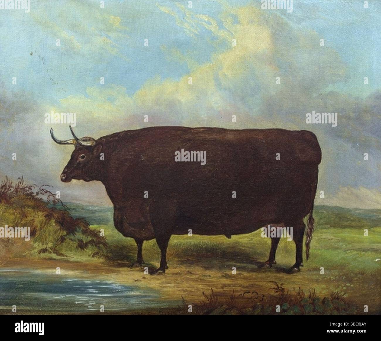 John Vine - 92e4e43b70 Stock Photo - Alamy