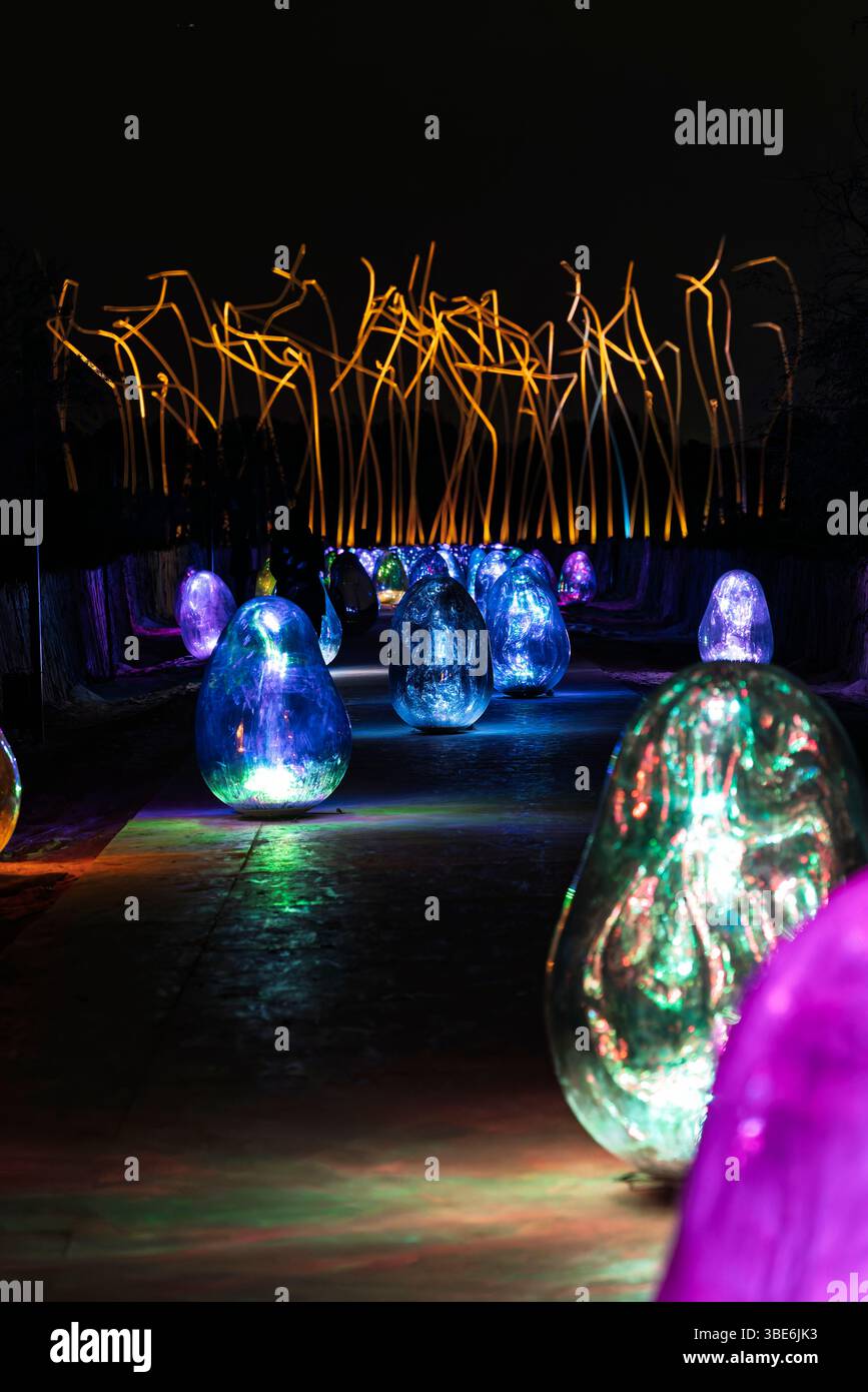 Colorful luminous ovoid sculptures by TeamLab reflect green and gold ...