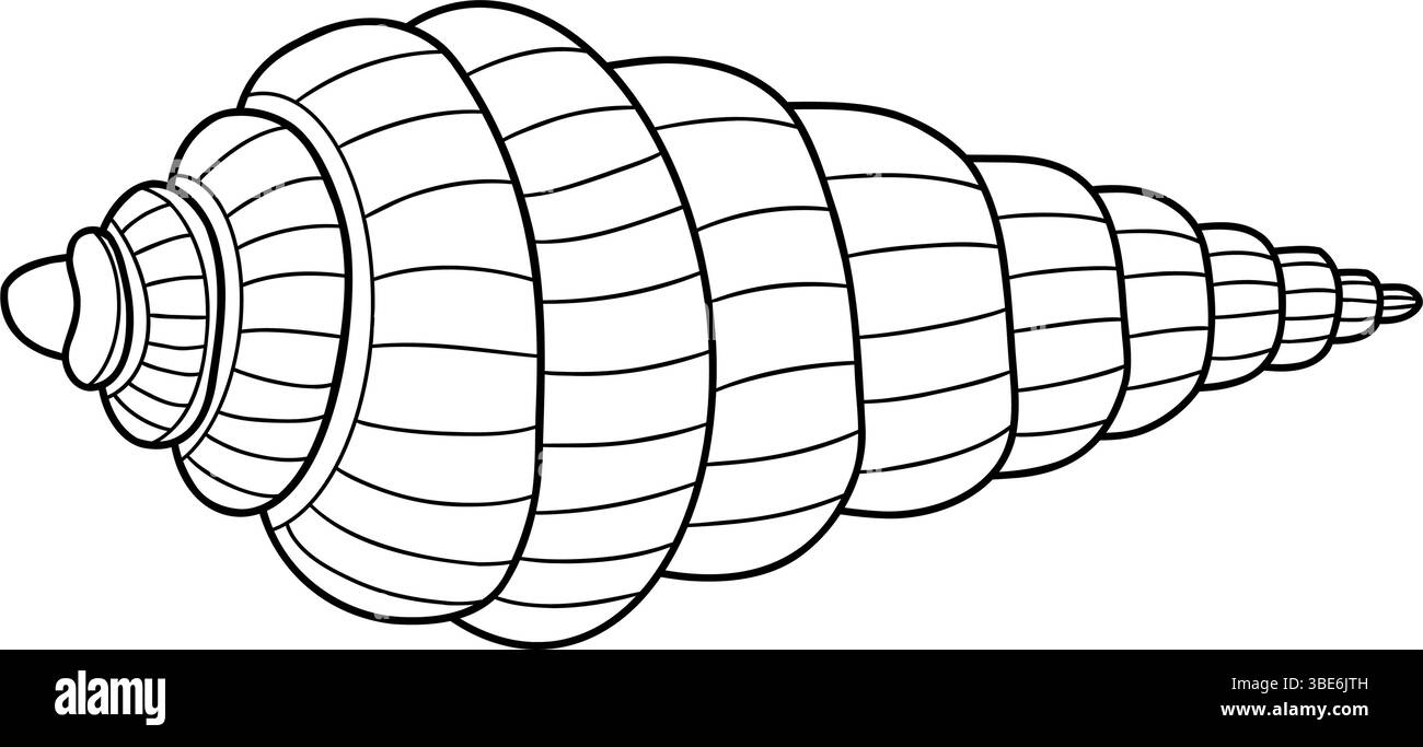 Outline Shell. Spiral sea conch. linear hand drawing doodle. Vector ...