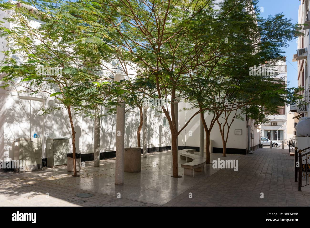 Lush trees cast dappled shadows across a stone courtyard on the ...
