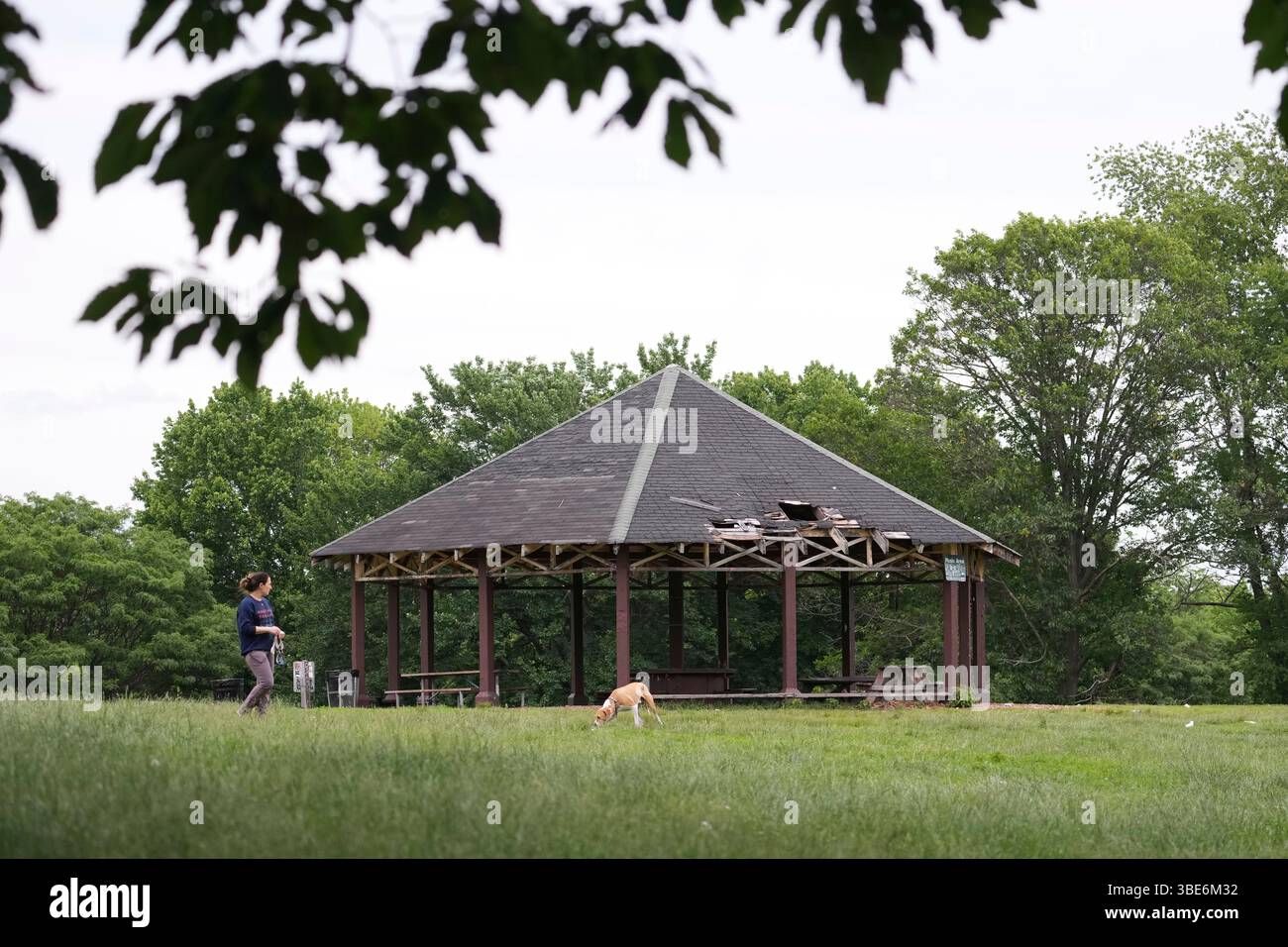 A woman walks her dog through the Lemon Hill area of Fairmont Park the ...