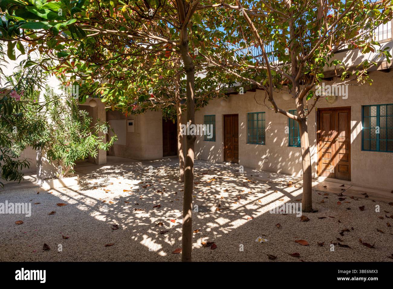 Shaded courtyard with traditional white building and large tree creates ...