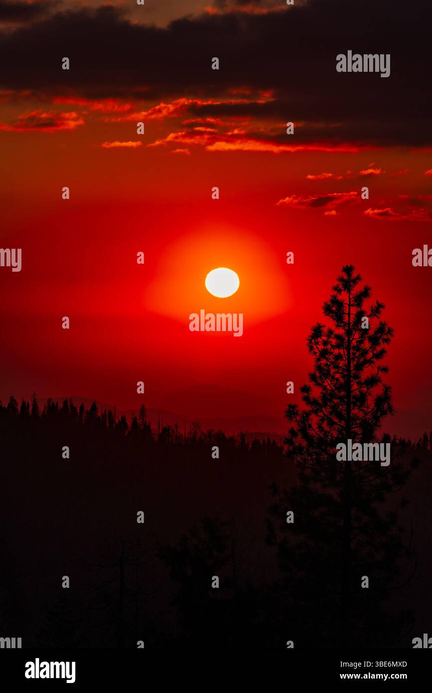 Sunset over night forest hi-res stock photography and images - Alamy