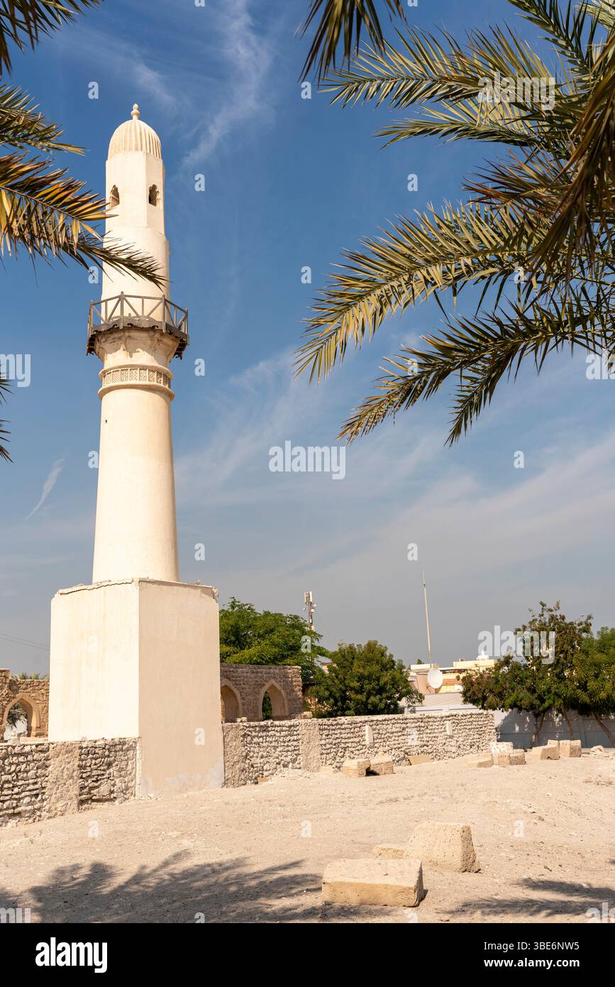 Single minaret mosque palm trees hi-res stock photography and images ...