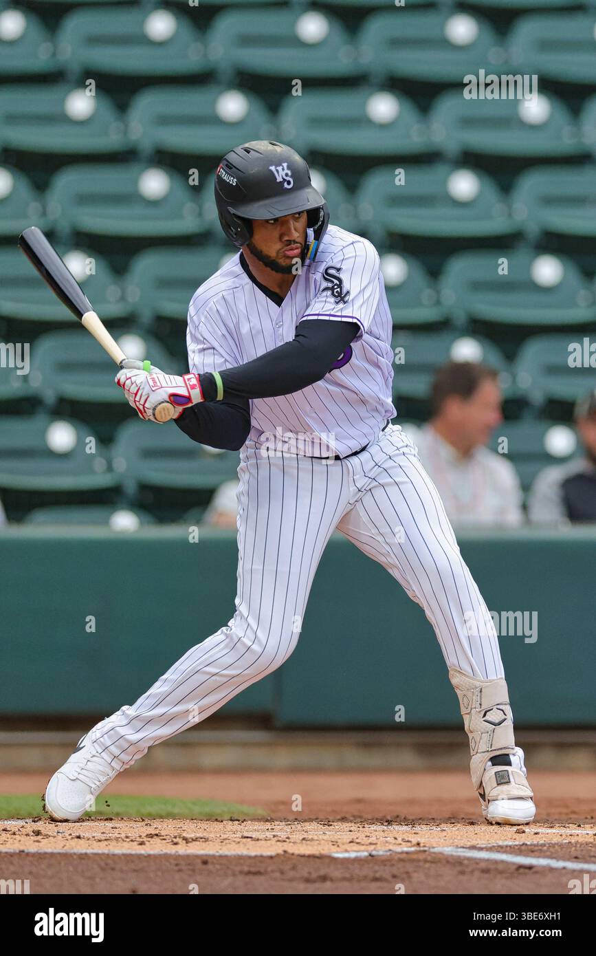 Winston-Salem, NC: Winston-Salem Dash shortstop Arxy Hernandez (23 ...