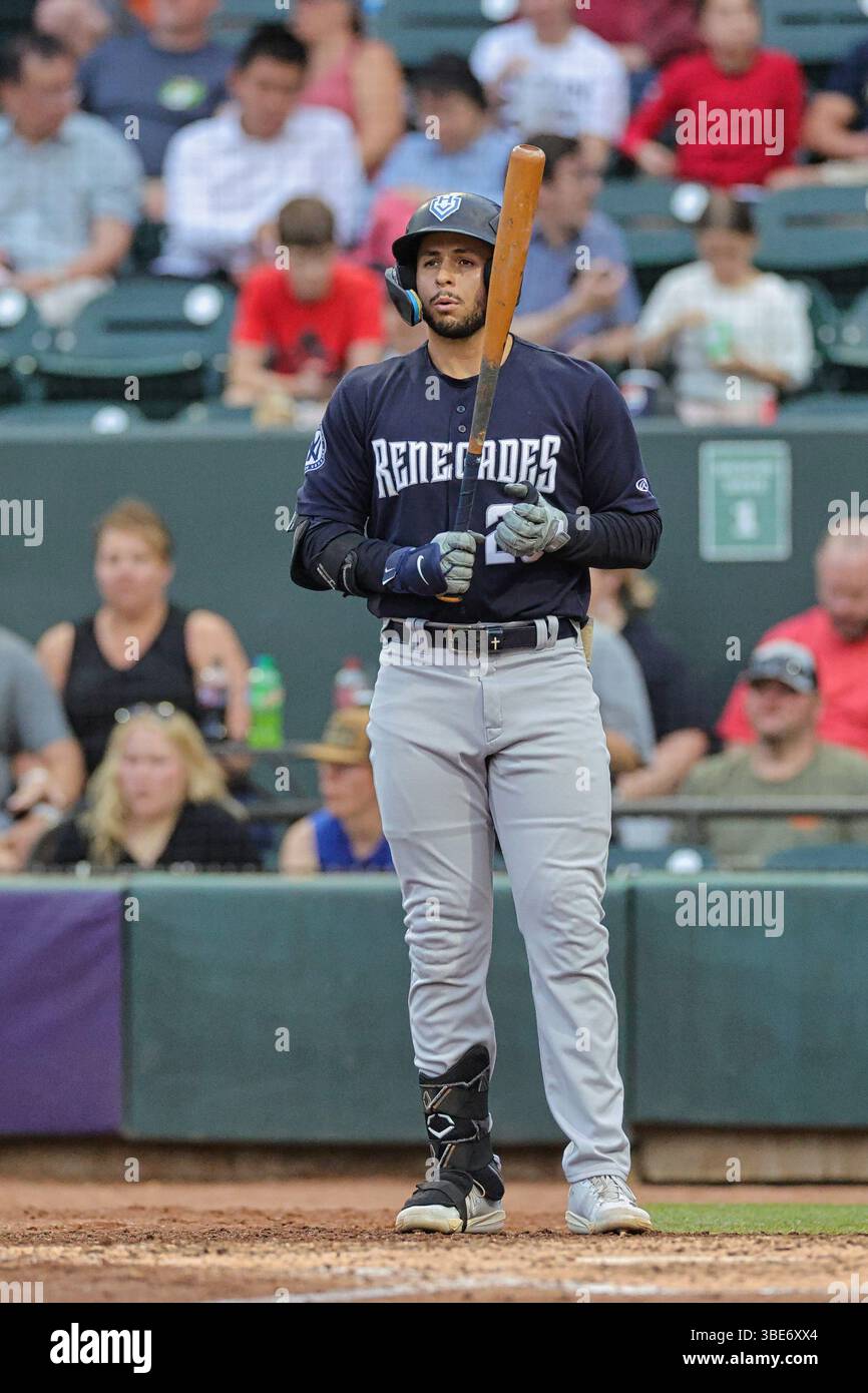 Winston-Salem, NC: Hudson Valley Renegades designated hitter Coby ...