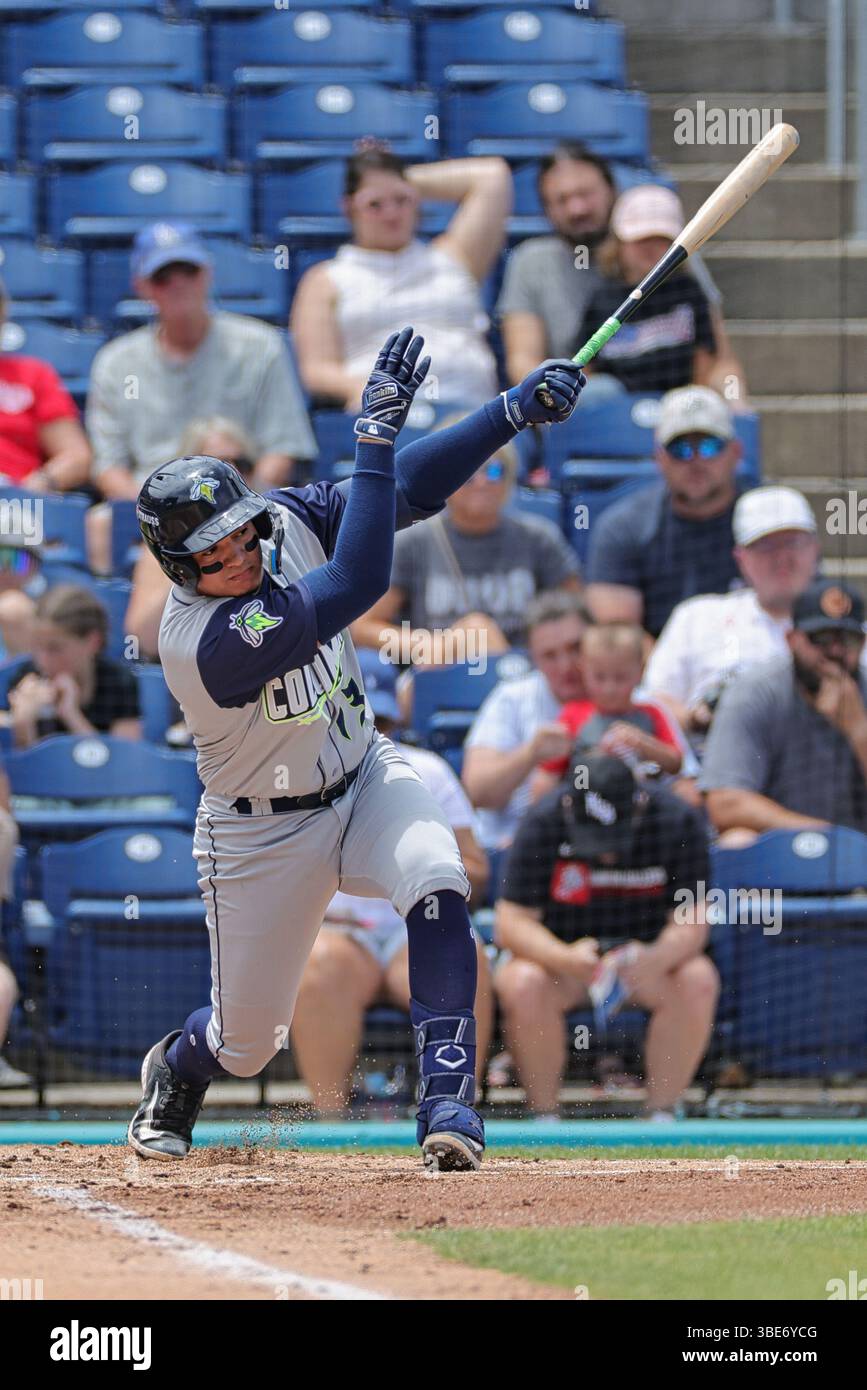 Kannapolis, NC: Columbia Fireflies catcher Dionmy Salon (13) hits to ...