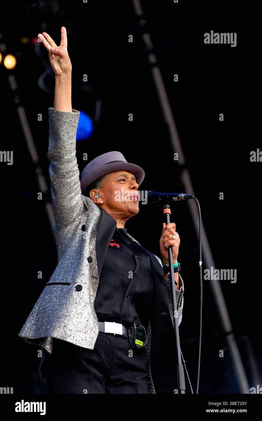 The Selecter performing at Bearded Theory Festival, Catton Park ...
