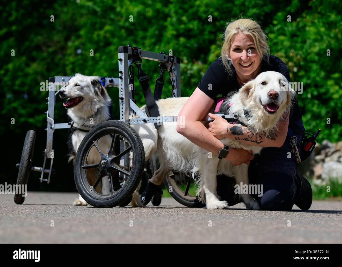 Schneverdingen, Germany. 20th May, 2025. Saskia Wicke, farm manager of ...