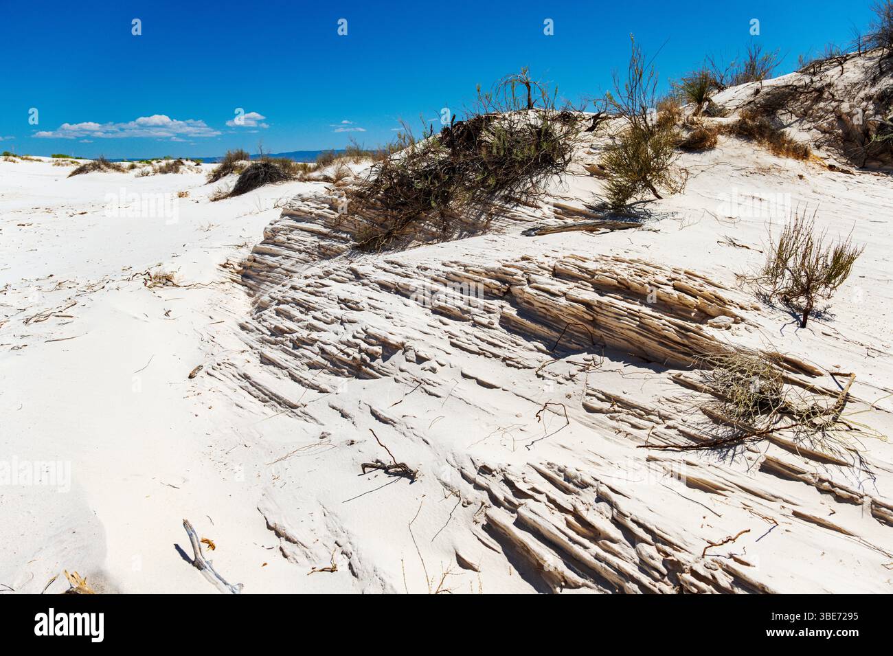 Wind sculpted sand; Dune Life Nature Trail; White Sands National Park ...