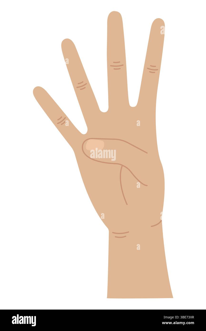 Hand gestures. Counting fingers. Four fingers. Vector illustration ...