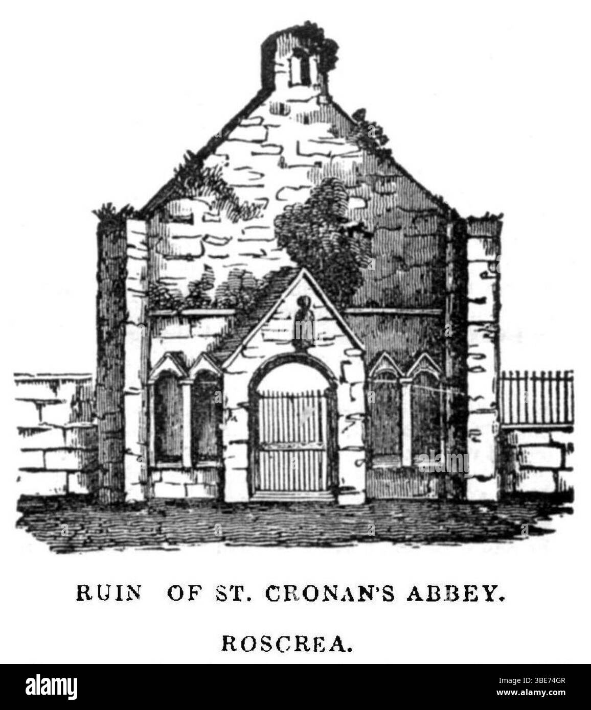 Roscrea, ruin of St. Cronan's Abbey, 1834 Stock Photo - Alamy