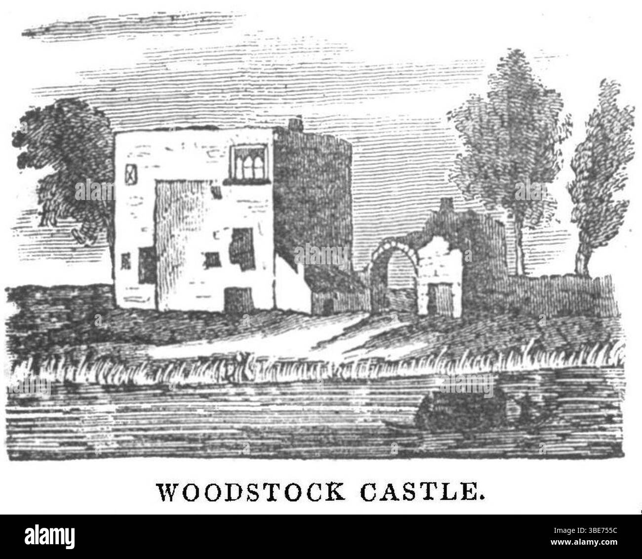Woodstock Castle, Athy, County Kildare, 1835 Stock Photo - Alamy