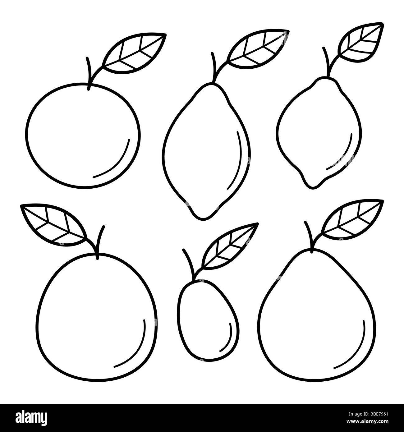 Ripe fruit kumquat isolated Black and White Stock Photos & Images - Alamy
