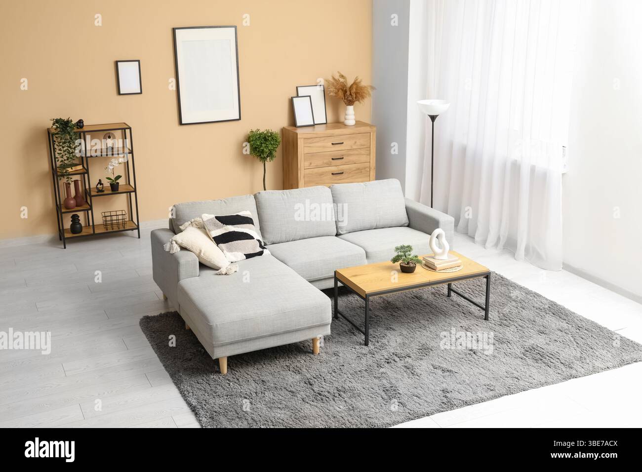 Interior of light living room with grey sofa, coffee table and picture ...
