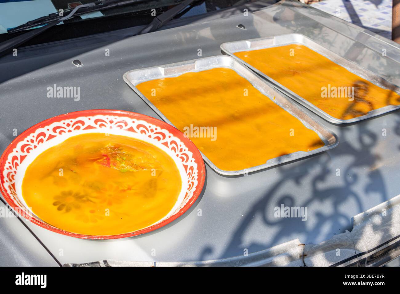 Homemade mango paste is dried in the sun on plates lying on the hood of ...