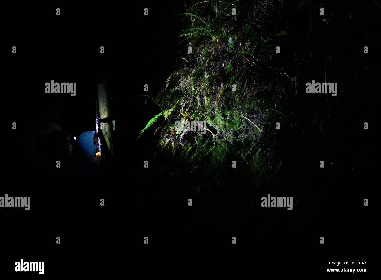 170525 KAI SCHWOERER General view as children enjoy the glow worm dell ...