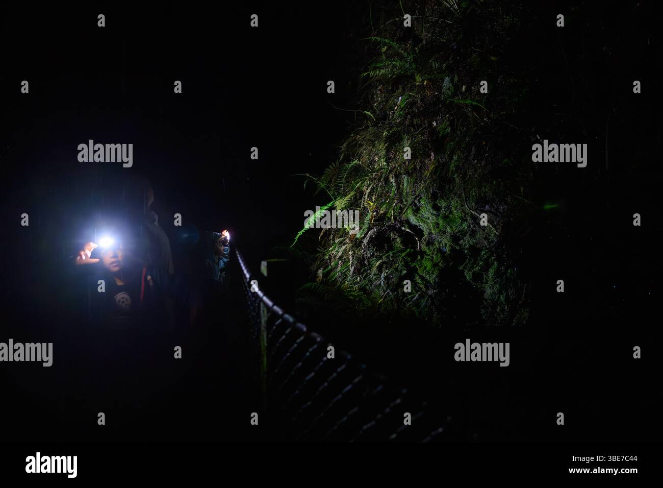 170525 KAI SCHWOERER General view as children enjoy the glow worm dell ...