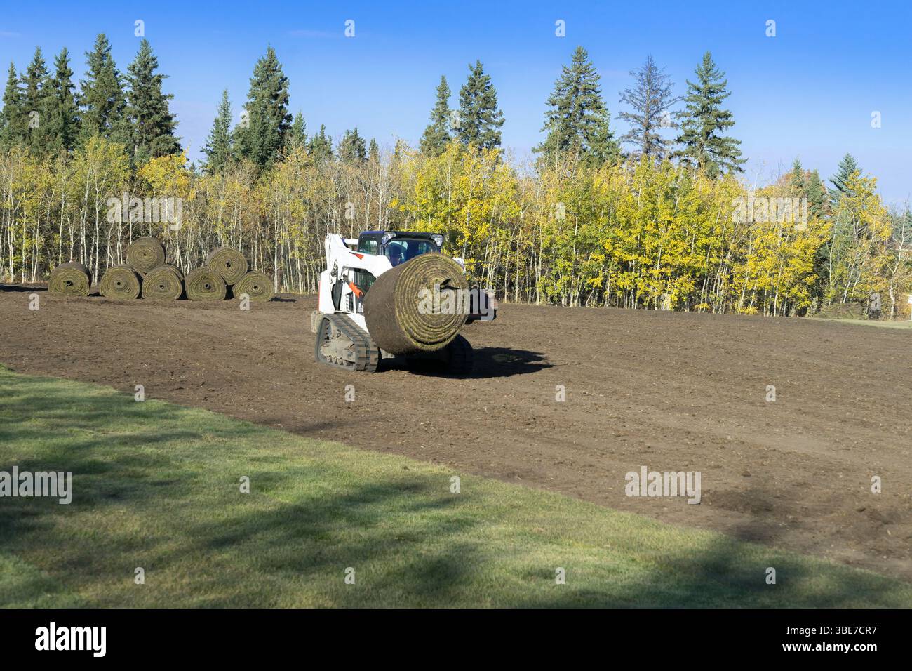 Lawn installation using sod rolls hi-res stock photography and images ...