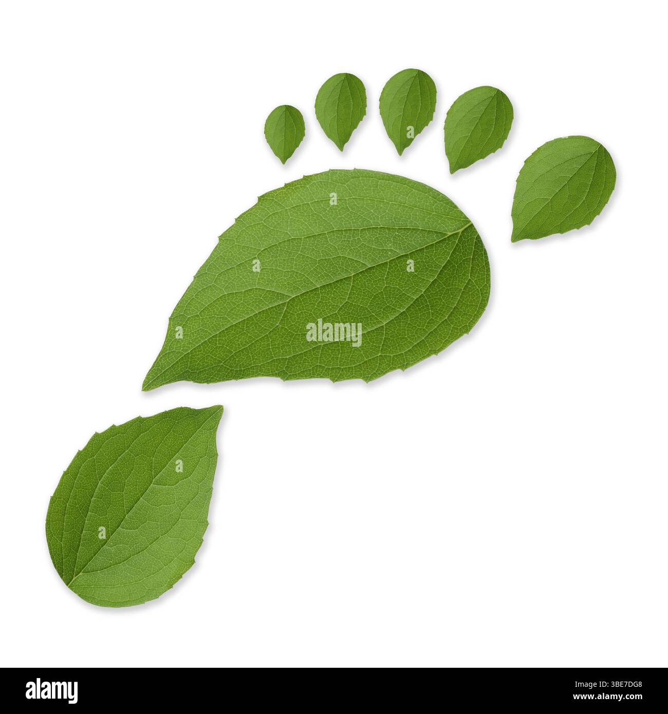Human footprint made of green leaves on white background, top view ...