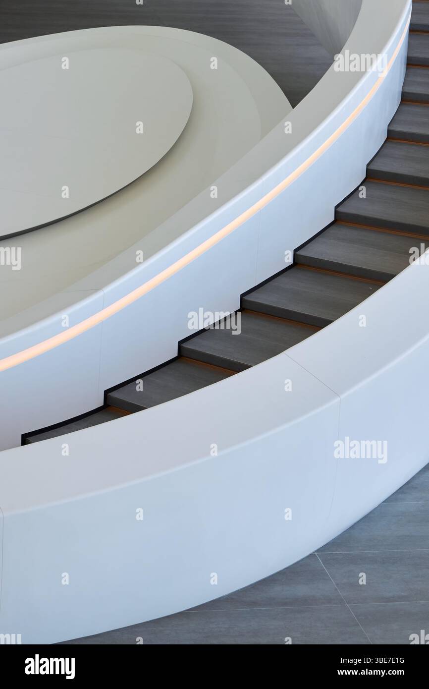 An Elegant Curved Staircase Design that Exemplifies Exceptional Modern ...