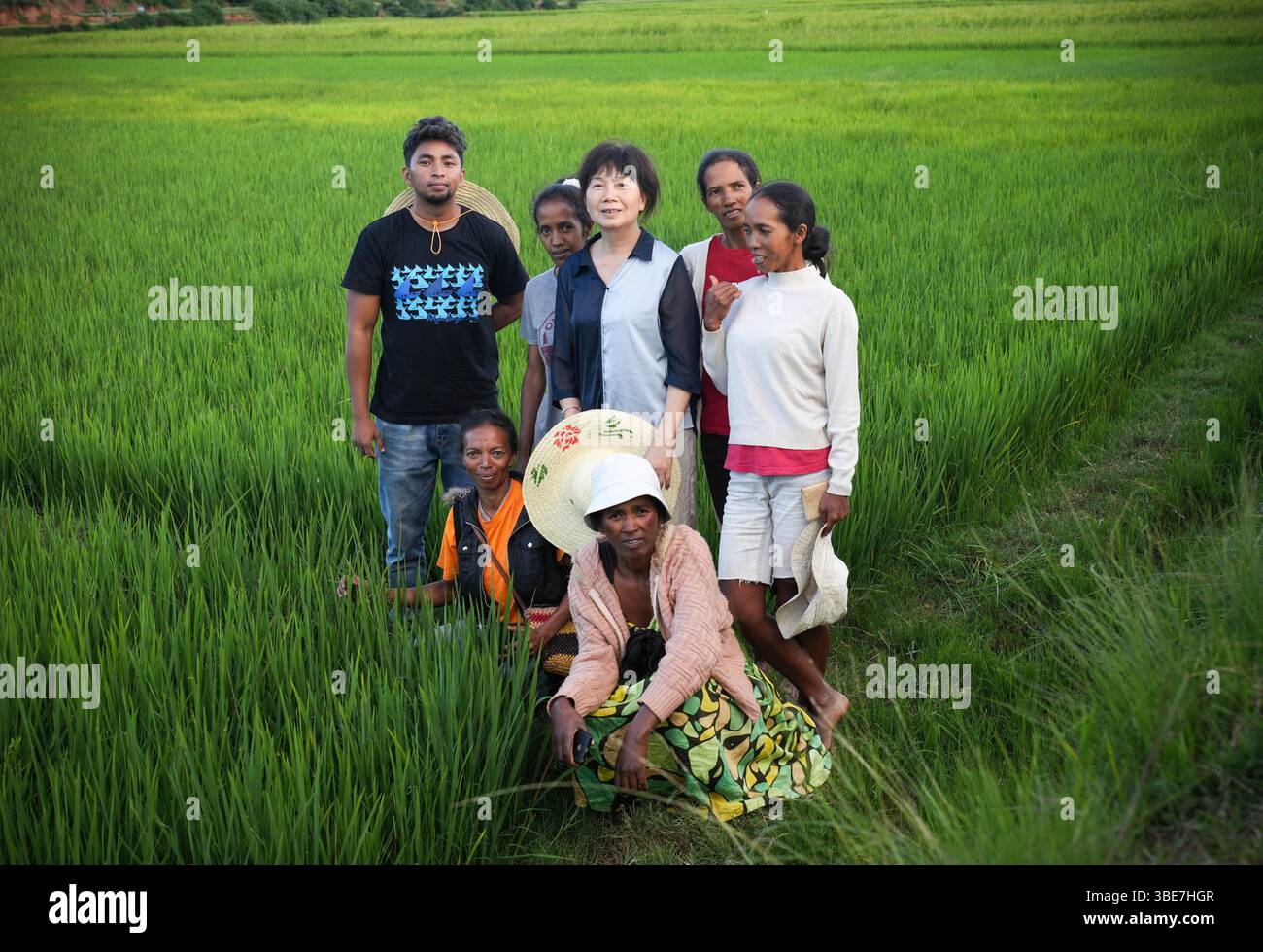 Antananarivo, Madagascar. 25th Mar, 2025. Chinese agricultural expert ...