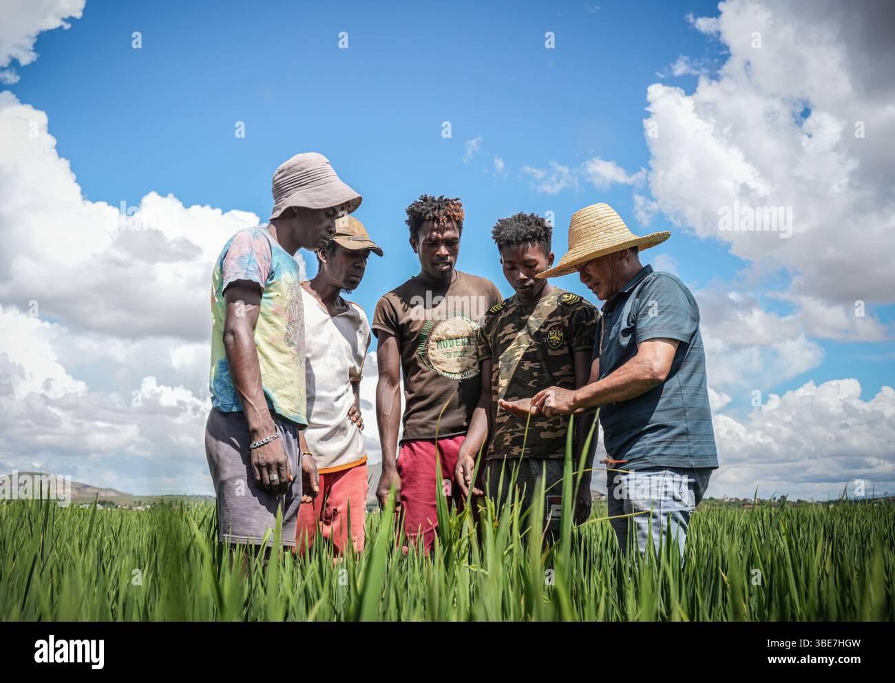Antananarivo, Madagascar. 25th Mar, 2025. Chinese agronomist Hu Yuefang ...