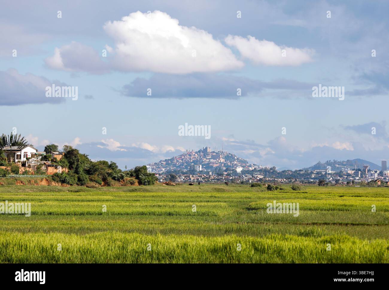 Antananarivo. 25th Mar, 2025. This photo taken on March 25, 2025 shows ...