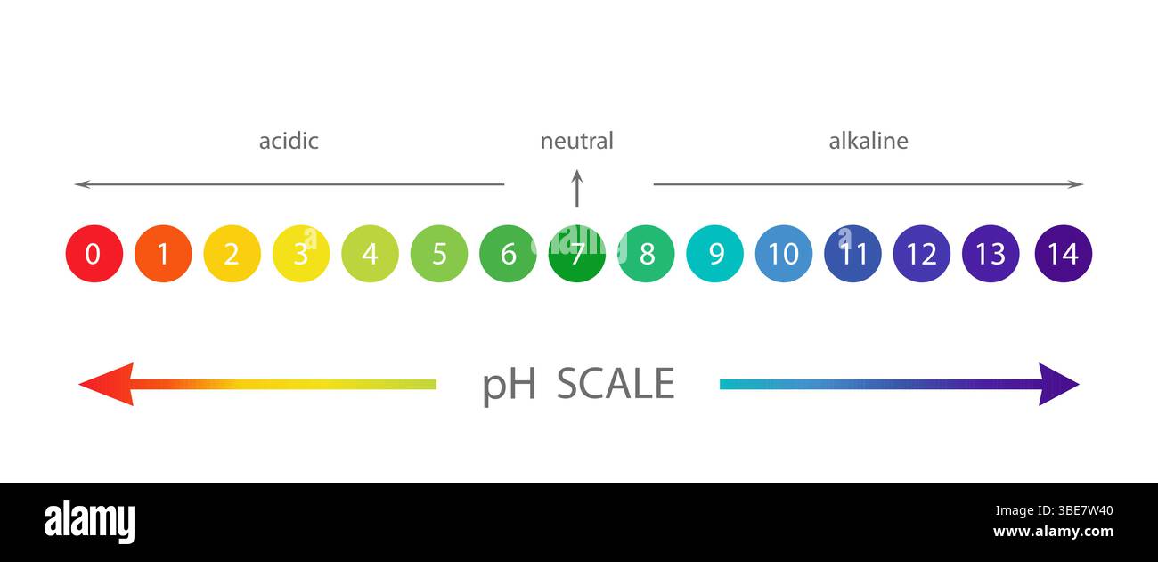 PH Scale diagram. Gauge for acid and alkaline balance. Chemical ...
