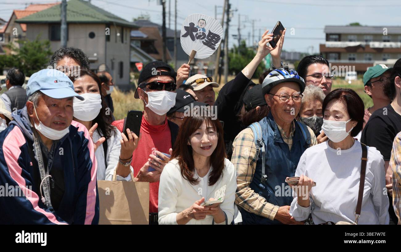 Sumo fans gather to celebrate Japanese Sumo wrestler Onosato after a ...