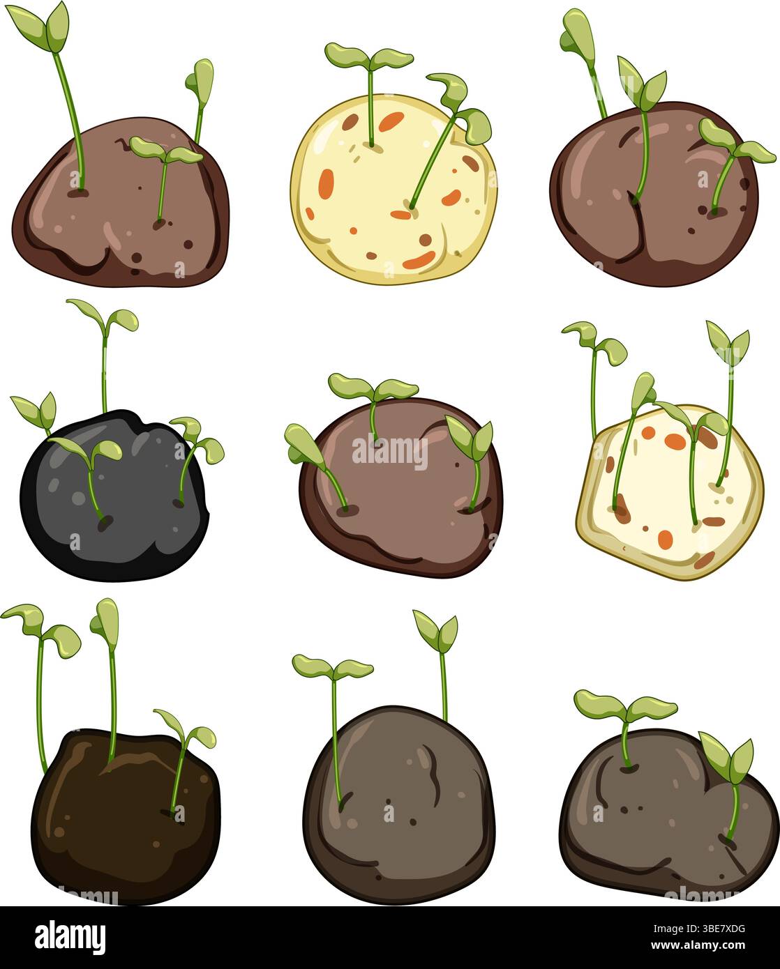 grass seed bomb set cartoon vector illustration Stock Vector Image ...