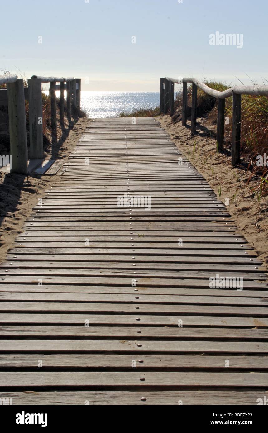 Wooden boardwalk path leading to the ocean Stock Photo - Alamy