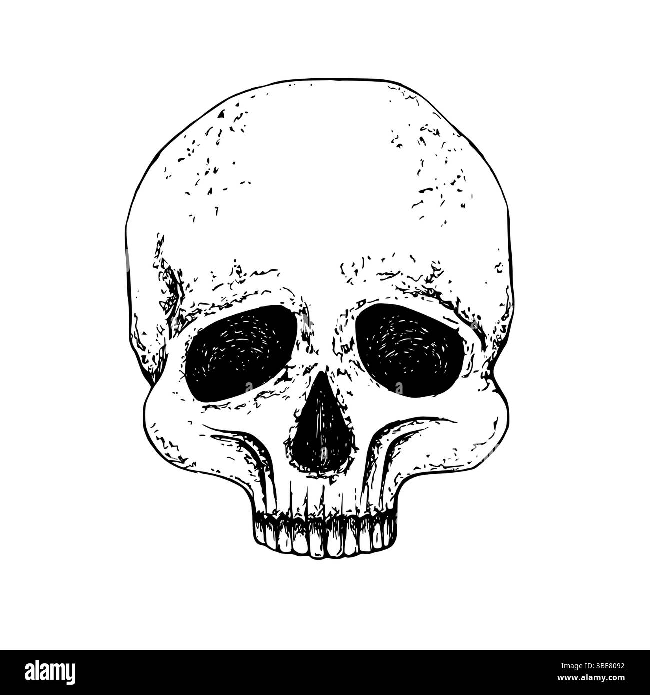 Half human skull Graphic illustration, front full face with white plate ...