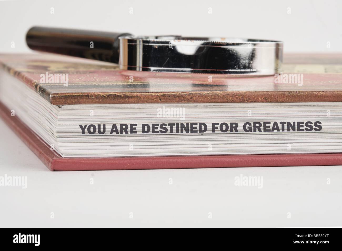 YOU ARE DESTINED FOR GREATNESS words Stock Photo - Alamy