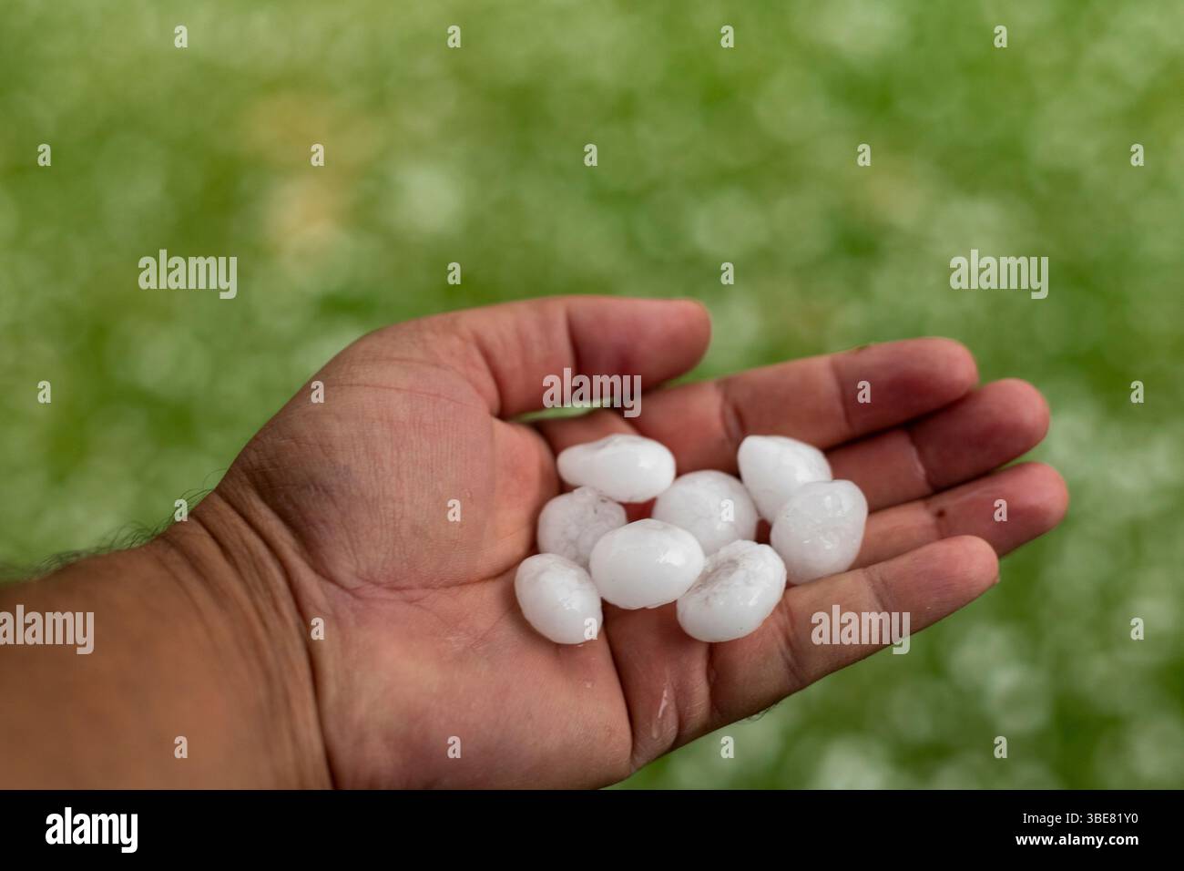 Large hailstones holding in hand after intense hailstorm in Pakistan ...