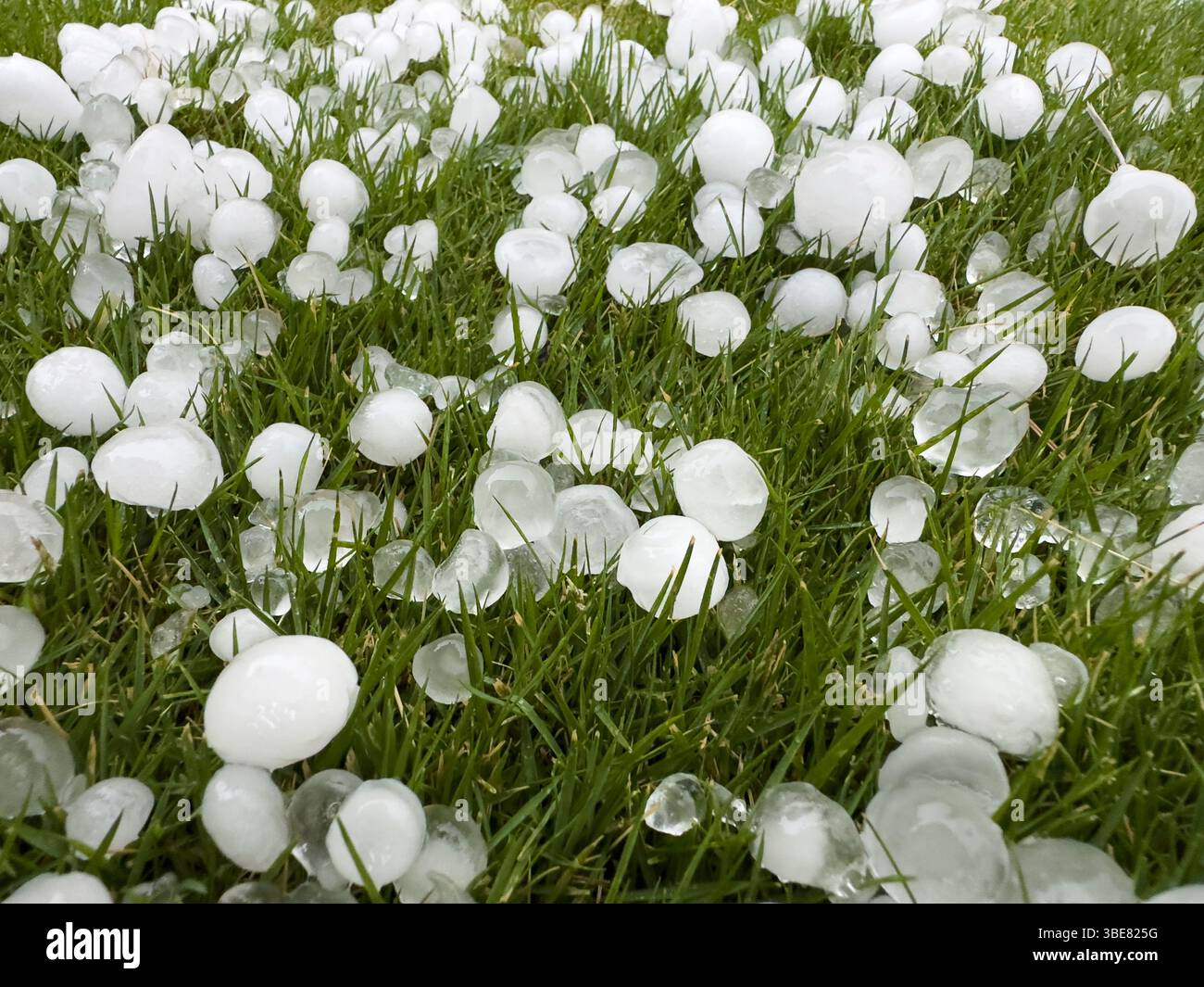Catastrophic hail storm in summer Stock Photo - Alamy