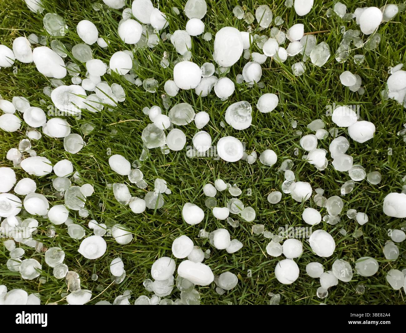 Aftermath of a heavy hail storm. Climate change and nature disaster ...