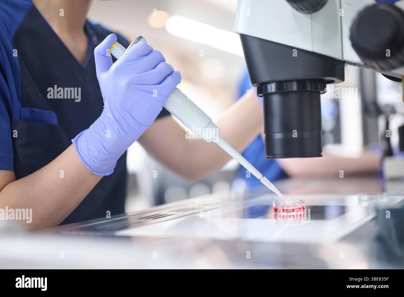 Embryologists using microscopes in the culture room Stock Photo - Alamy