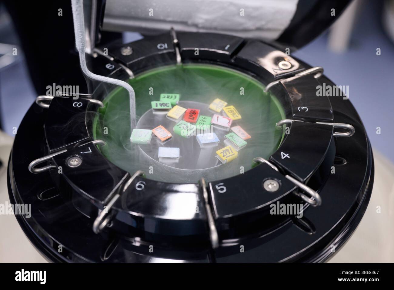 Samples and labels frozen and stored in liquid nitrogen tanks Stock ...