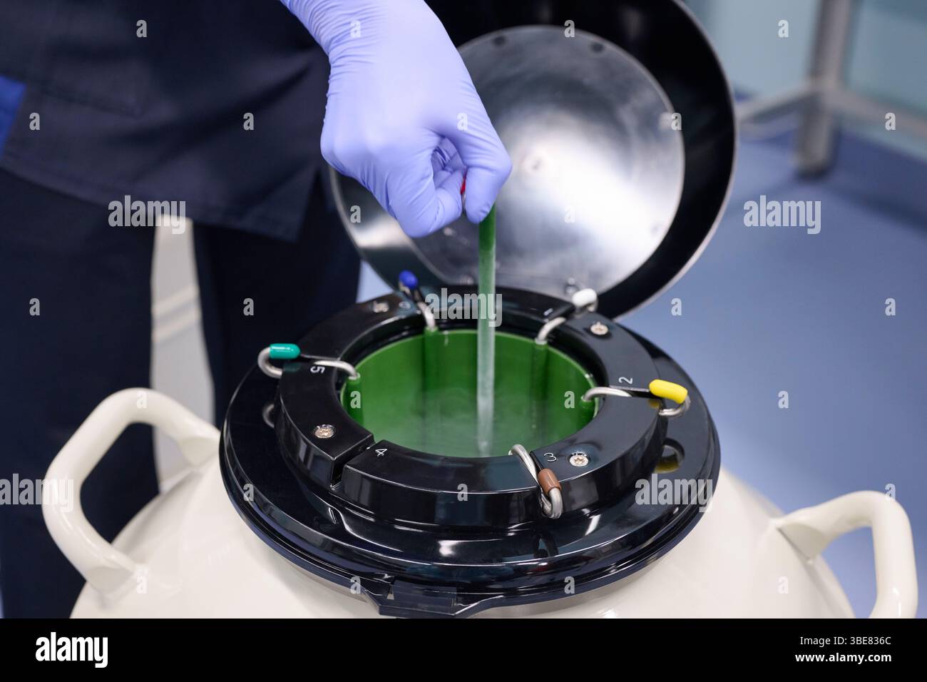 An experimenter manages a sample in a liquid nitrogen tank Stock Photo ...