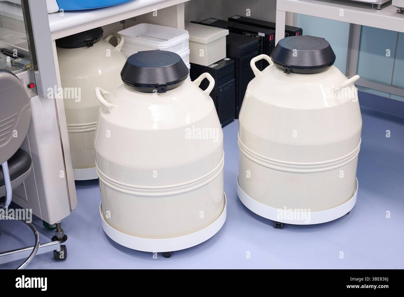 Liquid nitrogen tanks in the culture room Stock Photo - Alamy