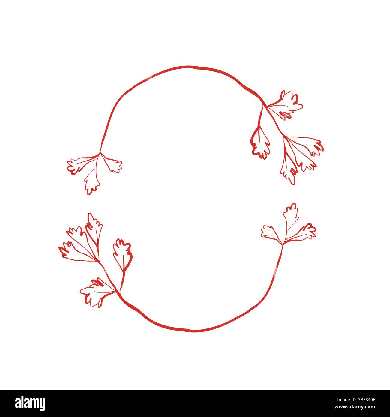 Natural leafy border with hand drawn parsley twigs for food design ...