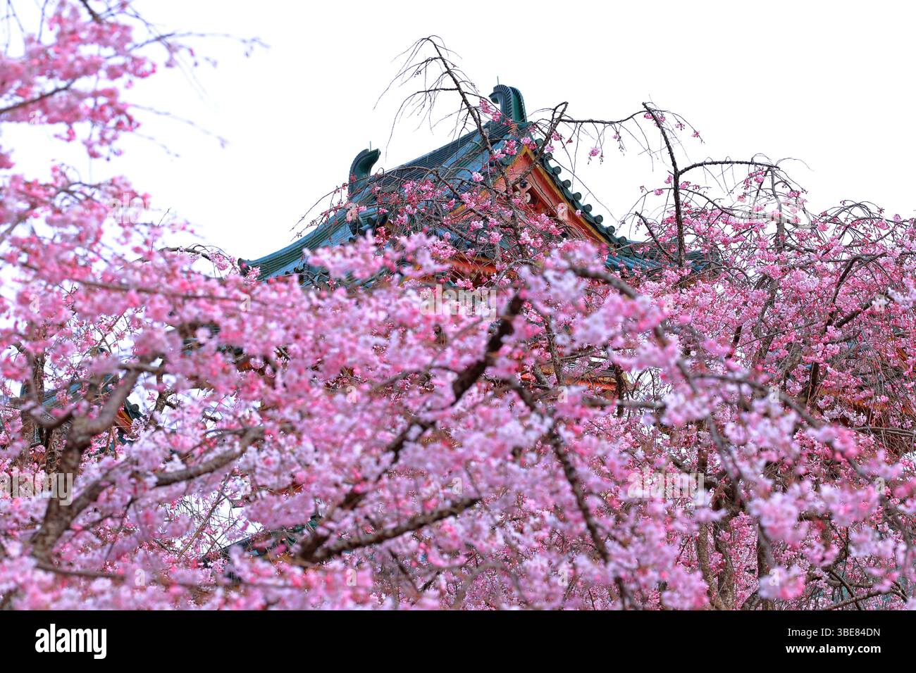 :Heian Shrine, Shinto shrine and landscaped gardens at Okazaki ...