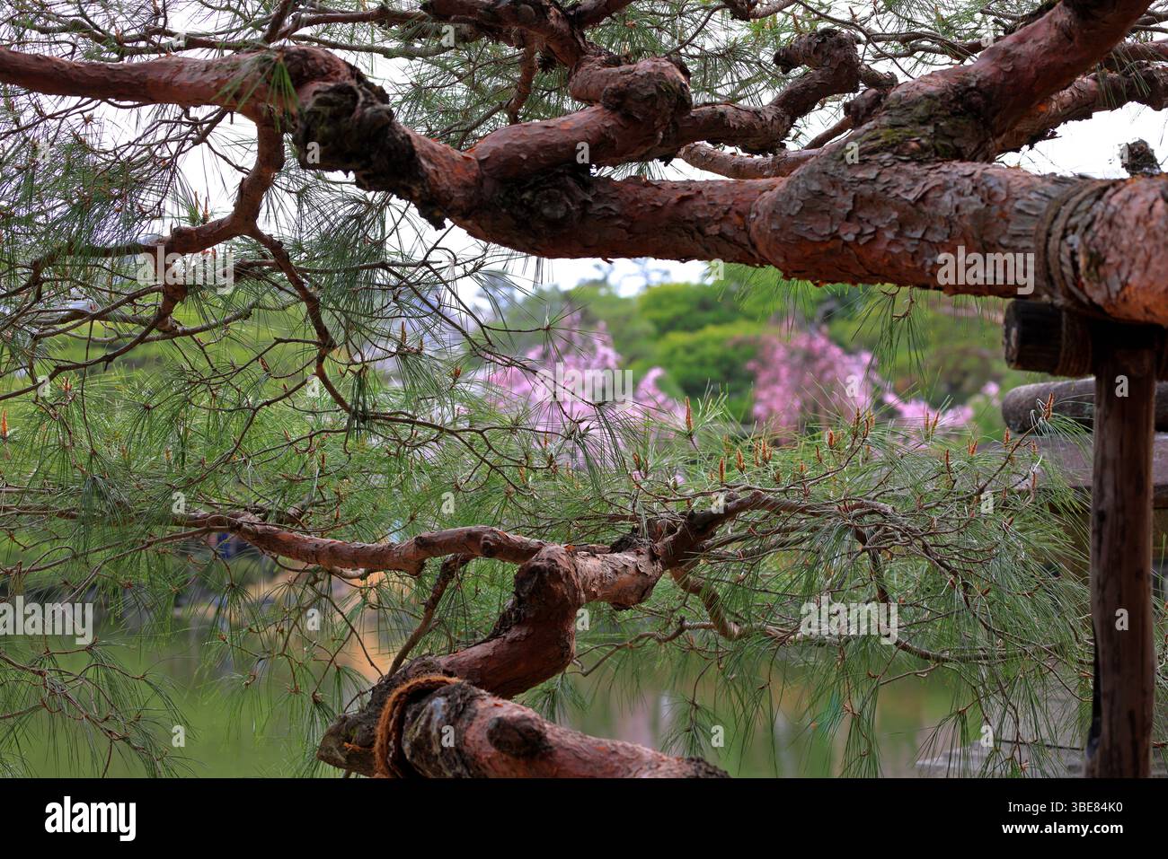 Heian Shrine, Shinto shrine and landscaped gardens at Okazaki ...