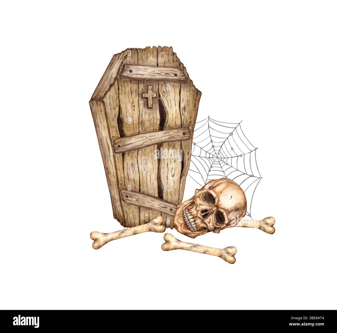 Old wooden coffin, skull, bones and cobweb for Halloween. Dead man's ...