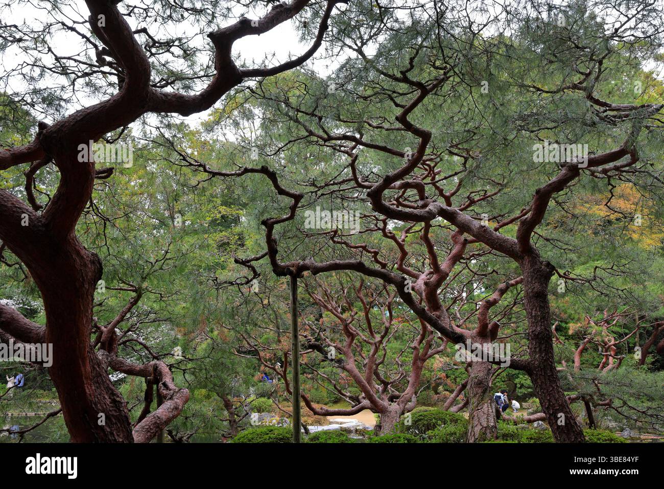 Heian Shrine, Shinto shrine and landscaped gardens at Okazaki ...